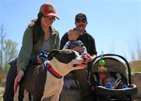 Meet Flirty The Miniature Horse And Service Animal For Bellevue Woman