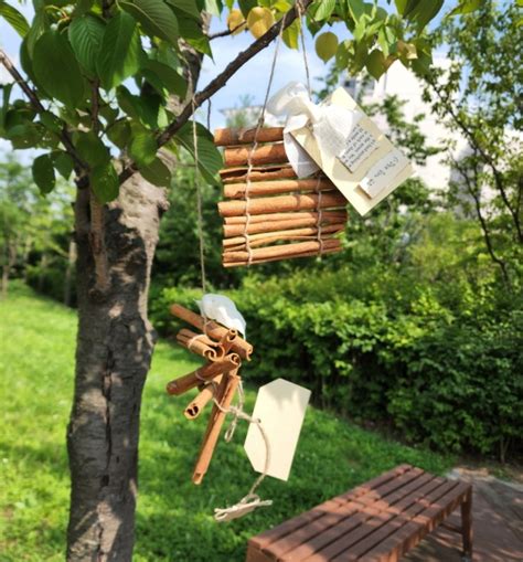 천연 모기 기피제 만들기 계피 시나몬스틱 키트 네이버 블로그