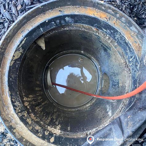 Cesspit Cleaning Draining Maintenance And Installation Auckland