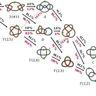Comparative Analysis Of Transition Probability Values Probability Download Scientific Diagram