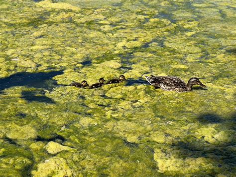 Anna Stuart On Linkedin Having One Of Those Days……… Does It Ever