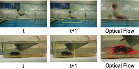 figure 3 from cnn based action recognition and pose estimation for