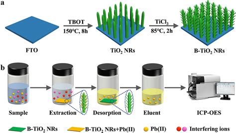 A Schematic Representation Of The Procedure For Preparation Of B Tio2 Download Scientific