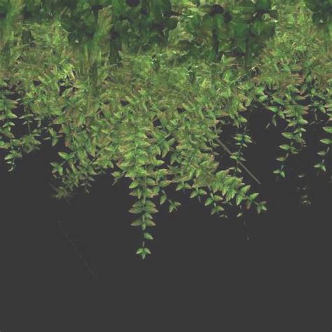 Leaf With Opacity Bump Texture ShareCG