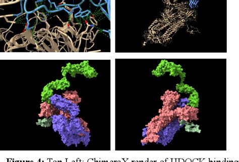 Figure 1 From Predicting And Modeling Antibody Binding Of Sars Cov 2 Spike Glycoprotein