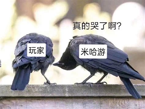 米哈游表情包共赏