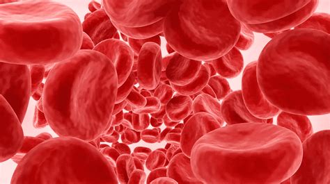 Epo Eritropoietina • Wikistero • La Bibbia Di Steroidi Anabolizzanti