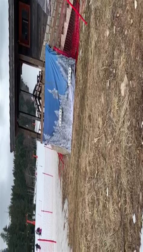 Нестле за Живей Активно Home Facebook