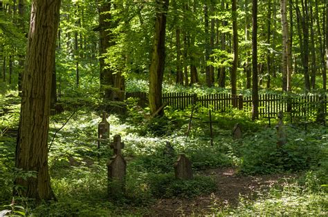 körtvélyesi erdei temető temető termÉszetjÁrÓ fÖldÖn vÍzen kÉt kerÉken