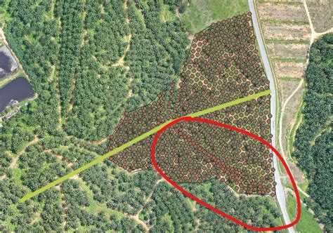 Qgis Removing Intersect Or Overlap Of Points In The Same Vector Layer