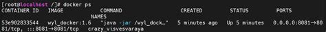 Docker之微服务实战（idea）idea Docker运行java微服务 Csdn博客