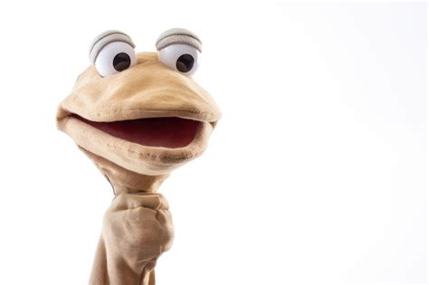 A Single Sock Puppet Isolated On White Background Premium AI Generated Image