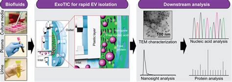 ExoTIC The Exosome Total Isolation Chip Exosome RNA