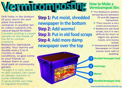 Vermicomposting 101 Diy