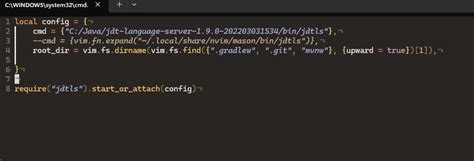 Need Help Setting Up Java Lsp With Mason Rneovim