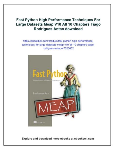 Fast Python High Performance Techniques For Large Datasets Meap V10 All