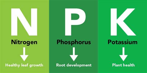 Nutrient Solution For Hydroponics The Ultimate Guide Atlas Scientific