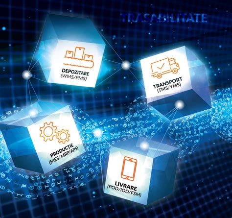 Soluții Software Mes Wms Tmspod Intek