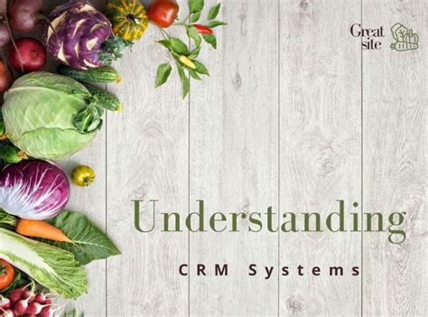 Understanding Crm Systems