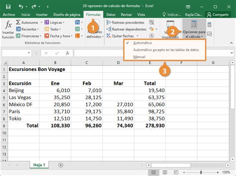 Opciones De Cálculo De Fórmulas Customguide