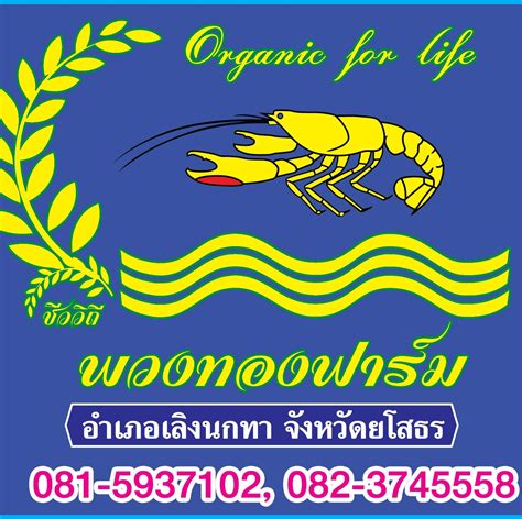 กุ้งก้ามแดงเลิงนกทา กุ้งก้ามแดงเลิงนกทา พวงทองฟาร์ม