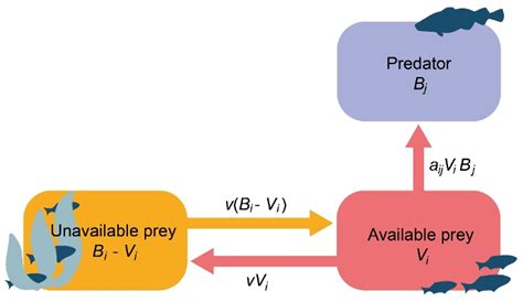 Vulnerability And Vulnerability Multipliers Ecosystem Modelling With Ewe