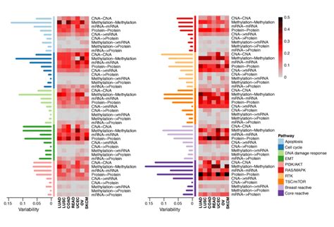 Heatmap Depicting Connectivity Score CS Of The Within And Download Scientific Diagram