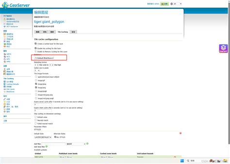 Geoserver静态瓦片服务geoserver 发布xyz 静态数据 Csdn博客