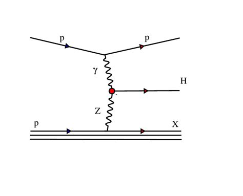 The Feynman Diagram Of The Subprocess γq → γzq → Hq At Leading Order