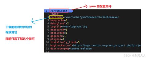 【linux入门】2w字详解yum、vim、gccg、gdb、makefile以及进度条小程序linux C Ymodem Csdn博客