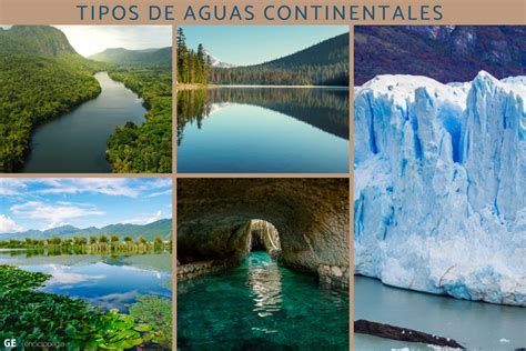 Aguas Continentales Qué Son Tipos Características Distribución Y