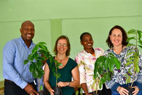 National Soursop Planting Project Launched Ministry Of Agriculture