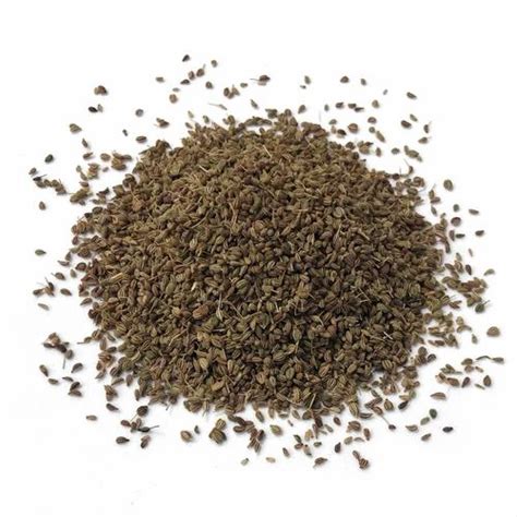 Grade A Dry Ajwain Seed At ₹ 195kg In Kanpur Id 2850641346262