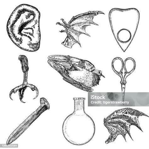 랜덤 매직 디자인 요소 세트 마술사 컬렉션을위한 손 그리기 마술 마법 기호 인간의 귀 뱀파이어 날개 새 다리 죽은 새 가위 물약