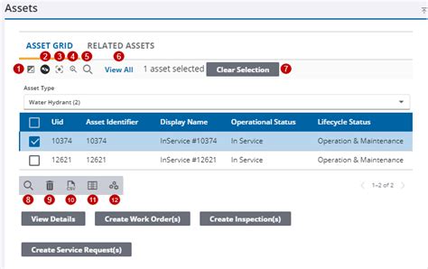 asset details page fields