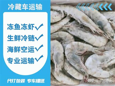 冷链运输时效上怎么把握 知乎