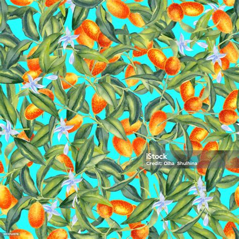 꽃 수채화 이음새가 없는 무늬가 있는 Kumquat 가지 감귤류 오렌지 과일과 잎은 끝없는 배경 열대 나무 손으로 그린 장식품