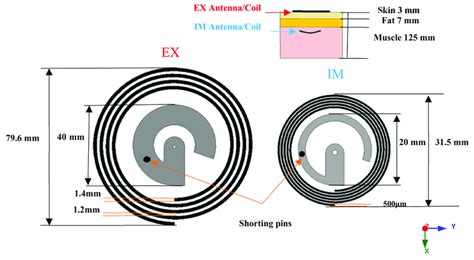Coil And Antenna Configuration For The External Antenna Coil Download Scientific Diagram