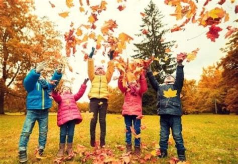 Полісся Осінні канікули у школах району розпочнуться у різний час