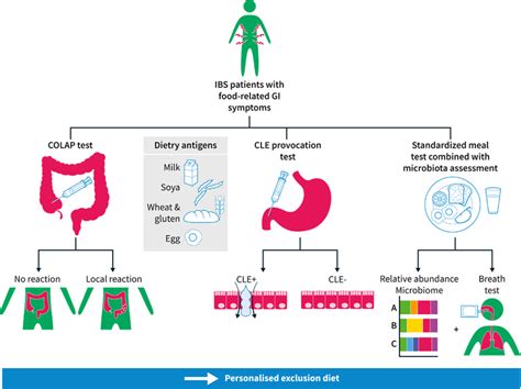 Future Tools In The Clinical Approach Of Irritable Bowel Syndrome Ibs