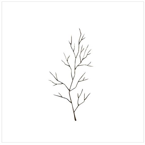 Page 2 Tree Branch Aesthetics Vectors Illustrations For Free Download