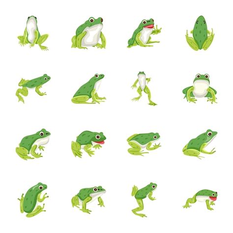 Premium Vector Pack Of Cute Toad Flat Icons