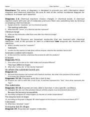 Enzyme Questions Docx Name Class Section Date Directions The Series Of Diagrams Is