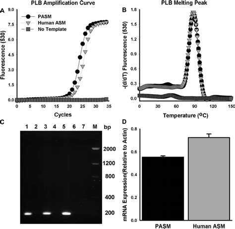 Representative Real Time Pcr Melting And Amplification Curves For Download Scientific Diagram