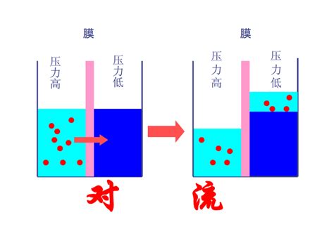 想了解血透的原理 有没有比较通俗易懂的讲解？ 知乎