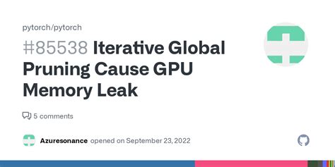 Iterative Global Pruning Cause Gpu Memory Leak · Issue 85538 · Pytorchpytorch · Github