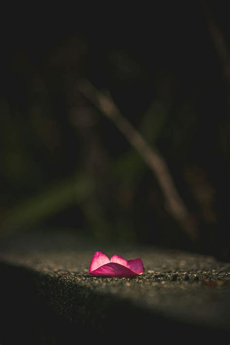 8k Wallpaper Anime Photos Download The Best Free 8k Wallpaper Anime