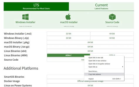 How To Install Node Js And Npm On The Raspberry Pi