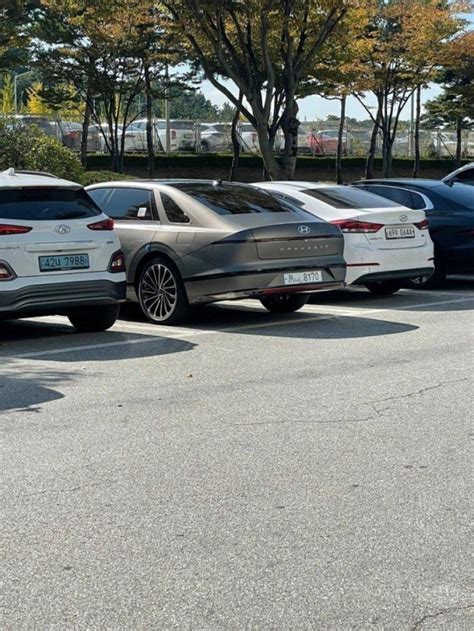 그랜저 7세대 풀 체인지 실사 자유글