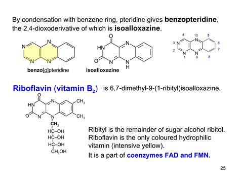 08 Heterocyclic Compounds Ppt